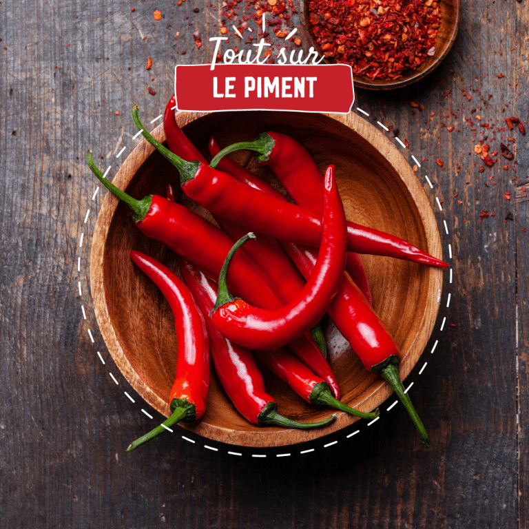 LE PIMENT : Tout ce qu'il y a à Savoir Se Trouve Ici - Quelle Sauce